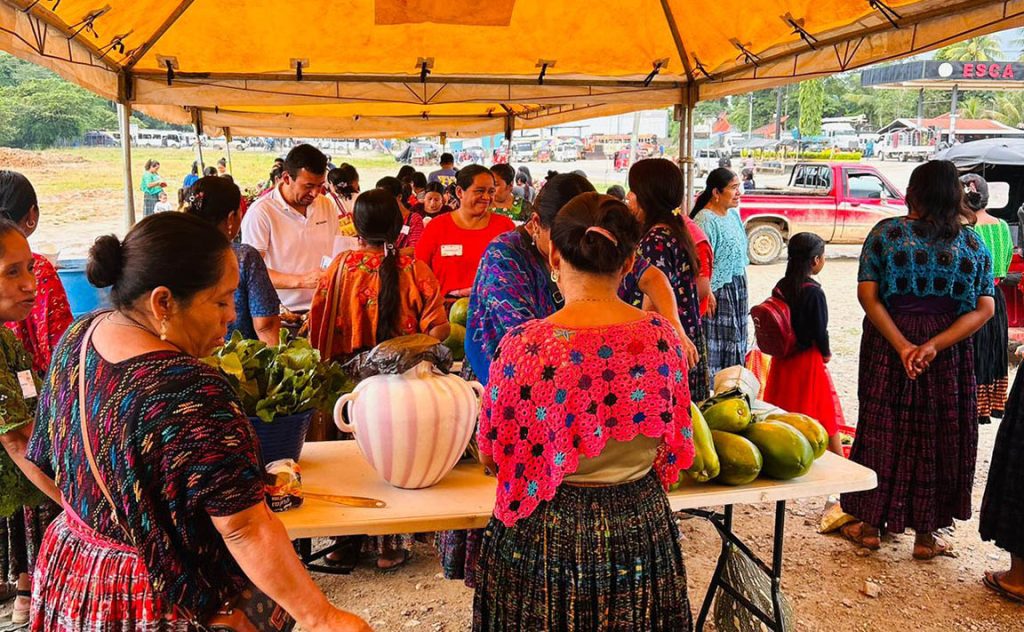 Los beneficios de la arveja china - Ministerio de Agricultura Ganadería ...