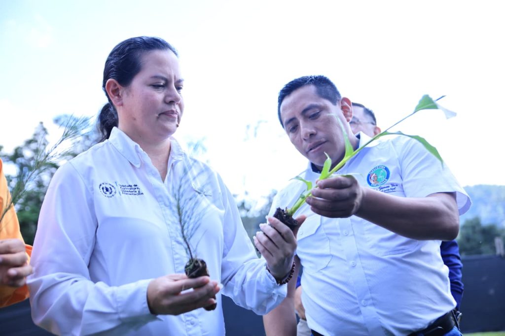 Conozca Guatemala a través de los mapas del IGN - Ministerio de ...